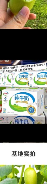 伊利纯牛奶多少钱一箱16袋_价格表2024最新-第1张图片-山城妙识 伊利纯牛奶多少钱一箱16袋_价格表2024最新-第1张图片-山城妙识