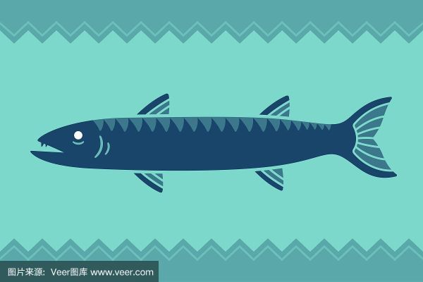 梭子鱼怎么画_梭子鱼简笔画步骤-第2张图片-山城妙识