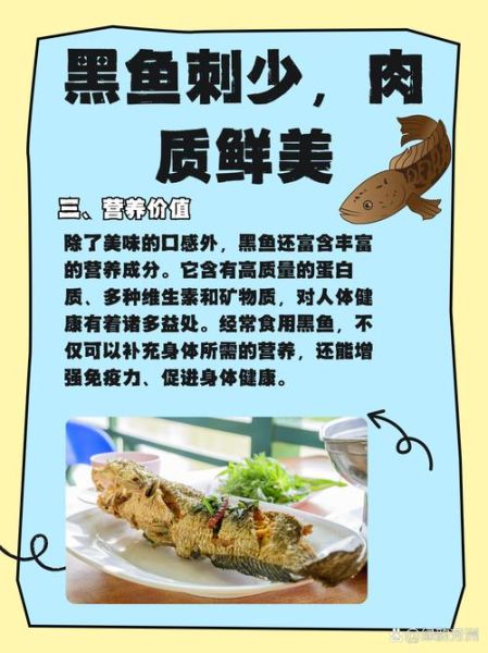 蛇鱼和黑鱼是一种鱼吗_区别与联系全解析-第3张图片-山城妙识 蛇鱼和黑鱼是一种鱼吗_区别与联系全解析-第3张图片-山城妙识