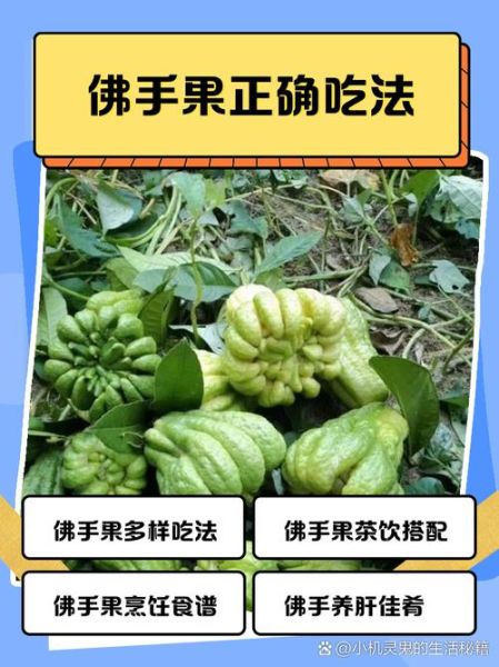 佛手怎么吃_佛手怎么做才好吃-第1张图片-山城妙识 佛手怎么吃_佛手怎么做才好吃-第1张图片-山城妙识