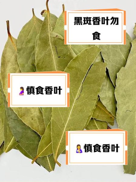 香叶的功效与作用及禁忌_孕妇能吃香叶吗-第3张图片-山城妙识