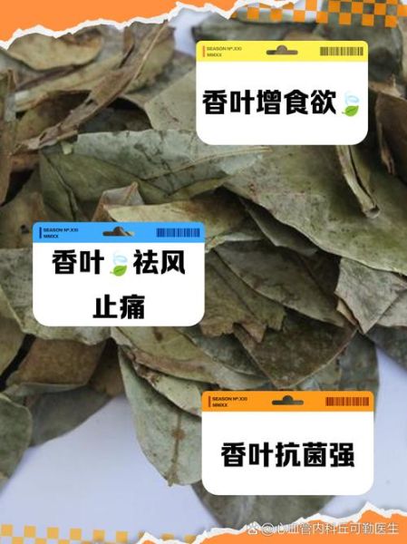 香叶的功效与作用及禁忌_孕妇能吃香叶吗-第2张图片-山城妙识