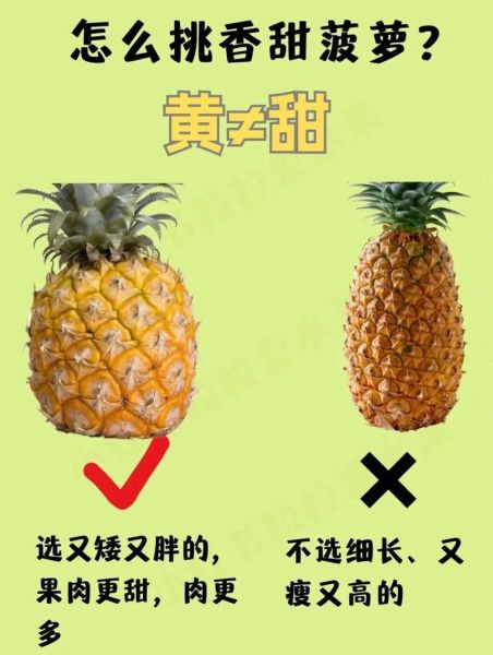 菠萝怎么吃不酸牙_菠萝不酸牙的方法-第2张图片-山城妙识 菠萝怎么吃不酸牙_菠萝不酸牙的方法-第2张图片-山城妙识