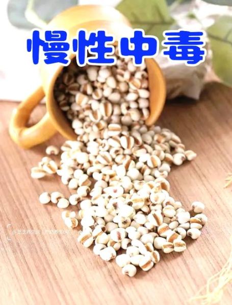 意仁的功效与作用禁忌_意仁怎么吃效果最好-第3张图片-山城妙识 意仁的功效与作用禁忌_意仁怎么吃效果最好-第3张图片-山城妙识