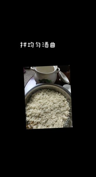 酒酿2天表面有黑色的毛_还能吃吗-第2张图片-山城妙识