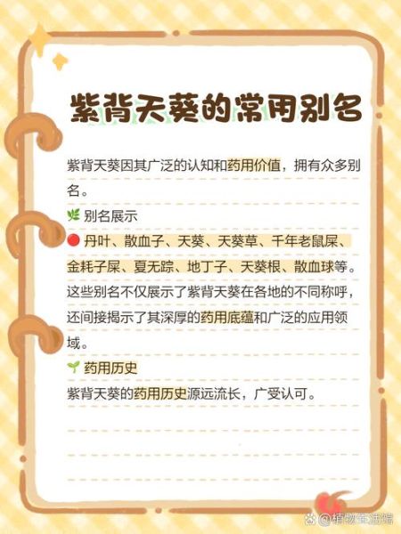 天葵血是什么_天葵血异常怎么办-第3张图片-山城妙识