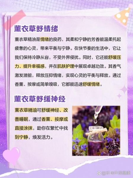 薰衣草精油怎么用_薰衣草精油的功效与使用方法-第1张图片-山城妙识