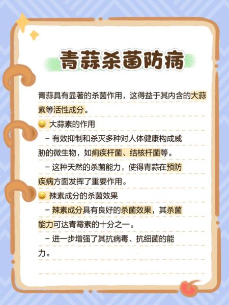 青蒜的功效与作用_青蒜怎么吃最健康-第2张图片-山城妙识