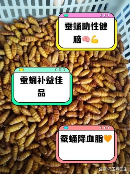 蝉蛹的功效与作用_蝉蛹怎么吃最补-第1张图片-山城妙识