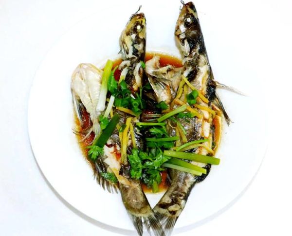 红烧黄辣丁鱼怎么做_黄辣丁鱼红烧要焯水吗-第3张图片-山城妙识 红烧黄辣丁鱼怎么做_黄辣丁鱼红烧要焯水吗-第3张图片-山城妙识