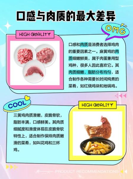 麻鸡和三黄鸡哪个好吃_口感区别在哪-第2张图片-山城妙识 麻鸡和三黄鸡哪个好吃_口感区别在哪-第2张图片-山城妙识