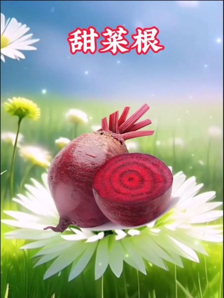 甜菜头怎么做好吃_甜菜头做法大全-第2张图片-山城妙识