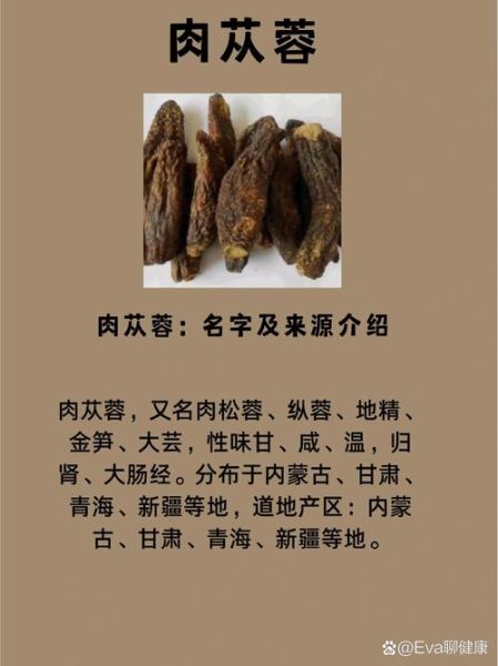 肉苁蓉壮阳多久见效_吃多久才有明显效果-第1张图片-山城妙识