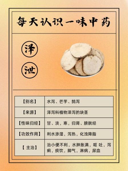 泽泻的功效与作用及禁忌_泽泻哪些人不能吃-第2张图片-山城妙识