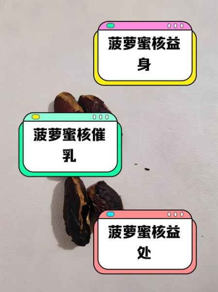 菠萝蜜的核能吃吗_菠萝蜜核的功效与作用-第3张图片-山城妙识 菠萝蜜的核能吃吗_菠萝蜜核的功效与作用-第3张图片-山城妙识