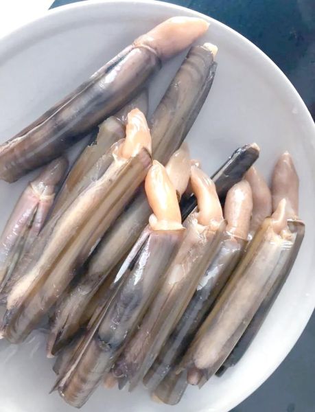 蛏子内脏能吃吗_蛏子内脏怎么处理-第1张图片-山城妙识