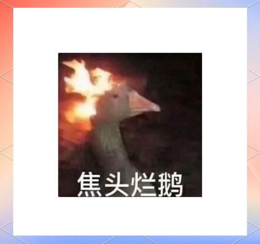 卤鹅考试是什么_如何一次通过卤鹅考试-第2张图片-山城妙识 卤鹅考试是什么_如何一次通过卤鹅考试-第2张图片-山城妙识