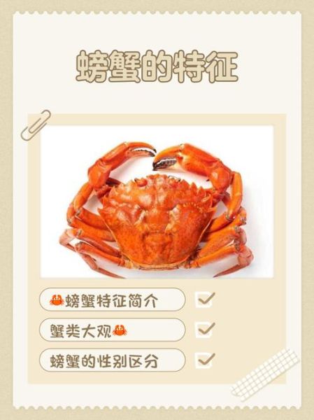 女的下面为什么叫螃蟹_螃蟹称呼的由来-第3张图片-山城妙识 女的下面为什么叫螃蟹_螃蟹称呼的由来-第3张图片-山城妙识