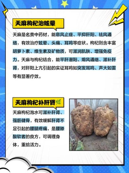 男人吃天麻壮阳吗_天麻对男性性功能有效吗-第2张图片-山城妙识 男人吃天麻壮阳吗_天麻对男性性功能有效吗-第2张图片-山城妙识