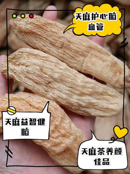 男人吃天麻壮阳吗_天麻对男性性功能有效吗-第3张图片-山城妙识 男人吃天麻壮阳吗_天麻对男性性功能有效吗-第3张图片-山城妙识