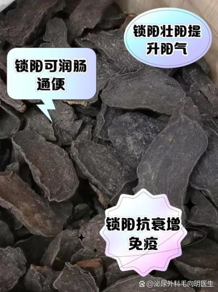 锁阳的功效与作用_锁阳主治哪些疾病-第2张图片-山城妙识 锁阳的功效与作用_锁阳主治哪些疾病-第2张图片-山城妙识
