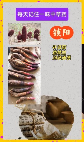 锁阳的功效与作用_锁阳主治哪些疾病-第3张图片-山城妙识 锁阳的功效与作用_锁阳主治哪些疾病-第3张图片-山城妙识