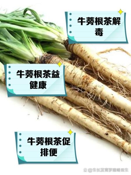 牛蒡什么人不能吃_孕妇能吃牛蒡吗-第1张图片-山城妙识