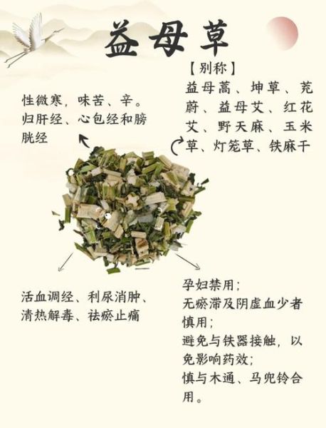 新鲜益母草怎么吃_益母草食谱大全-第3张图片-山城妙识 新鲜益母草怎么吃_益母草食谱大全-第3张图片-山城妙识