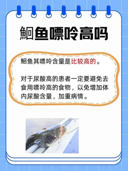 鮰鱼图片大全_鮰鱼高清图库怎么找-第2张图片-山城妙识