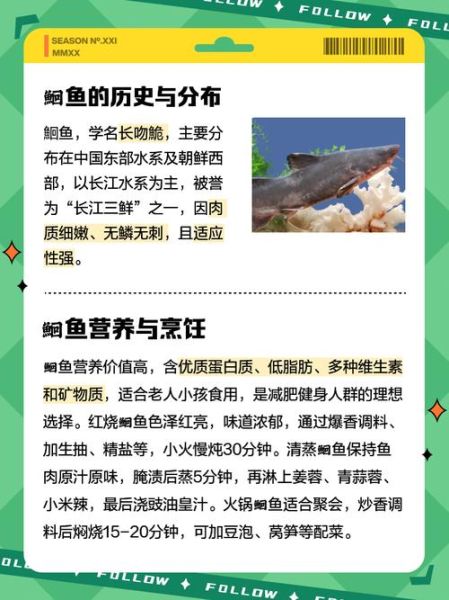 鮰鱼图片大全_鮰鱼高清图库怎么找-第3张图片-山城妙识