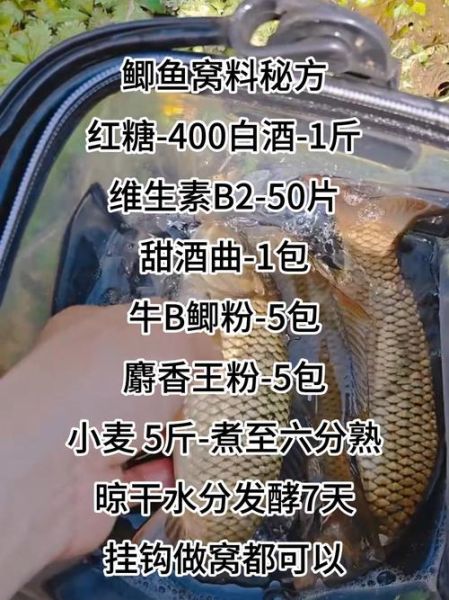 鲫鱼窝料配方大全_鲫鱼窝料怎么打窝-第1张图片-山城妙识