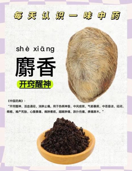 麝香是什么_麝香有哪些功效与作用-第1张图片-山城妙识 麝香是什么_麝香有哪些功效与作用-第1张图片-山城妙识