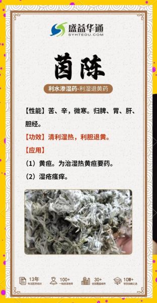 茵陈哪些人不能吃_茵陈禁忌人群-第2张图片-山城妙识 茵陈哪些人不能吃_茵陈禁忌人群-第2张图片-山城妙识