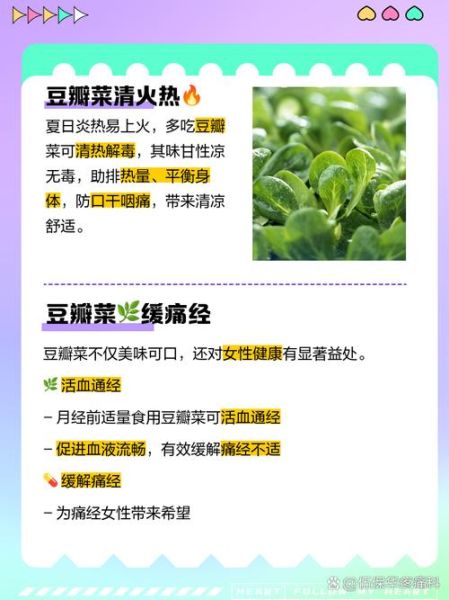 豆瓣菜是什么_豆瓣菜怎么吃-第1张图片-山城妙识
