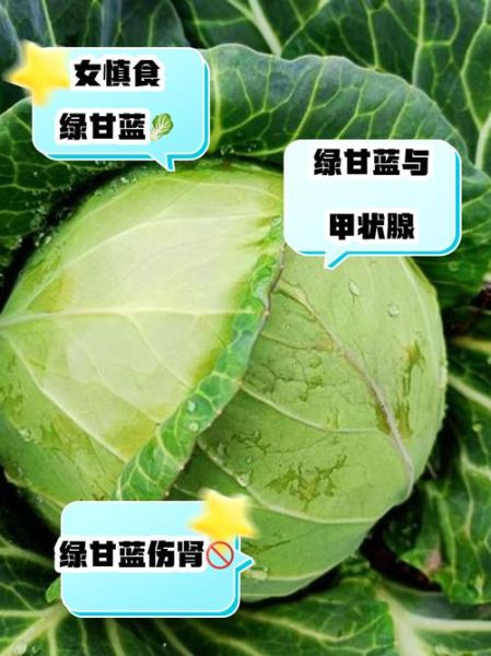 绿甘蓝菜的功效与作用禁忌_哪些人不能吃-第2张图片-山城妙识 绿甘蓝菜的功效与作用禁忌_哪些人不能吃-第2张图片-山城妙识