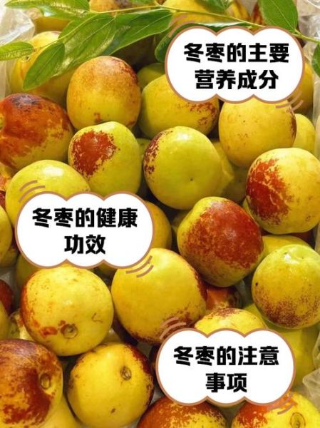 冬枣的功效与作用_冬枣的营养价值高吗-第1张图片-山城妙识 冬枣的功效与作用_冬枣的营养价值高吗-第1张图片-山城妙识