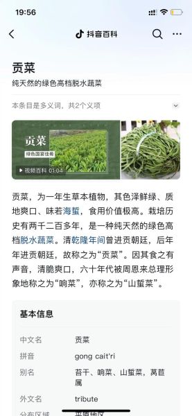 苔菜和贡菜的区别_苔菜贡菜哪个好吃-第2张图片-山城妙识 苔菜和贡菜的区别_苔菜贡菜哪个好吃-第2张图片-山城妙识