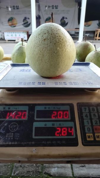 雪梨图片水果_雪梨怎么挑选-第2张图片-山城妙识 雪梨图片水果_雪梨怎么挑选-第2张图片-山城妙识