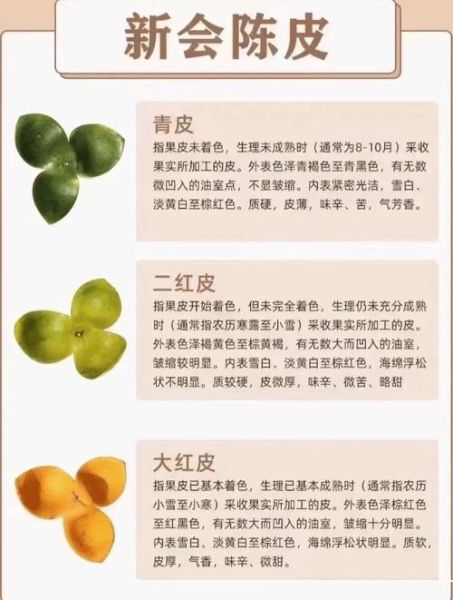 青皮的功效与作用_青皮和陈皮有什么区别-第3张图片-山城妙识 青皮的功效与作用_青皮和陈皮有什么区别-第3张图片-山城妙识