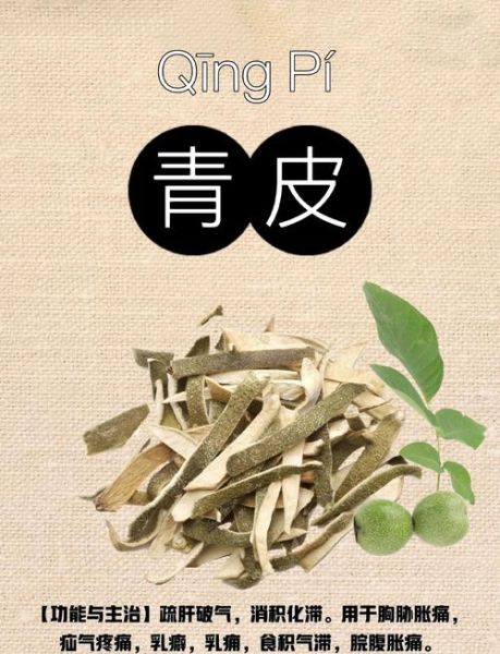 青皮的功效与作用_青皮和陈皮有什么区别-第1张图片-山城妙识 青皮的功效与作用_青皮和陈皮有什么区别-第1张图片-山城妙识