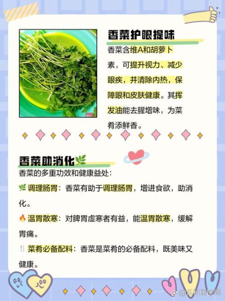 香菜的功效与作用_中医怎么看-第3张图片-山城妙识 香菜的功效与作用_中医怎么看-第3张图片-山城妙识
