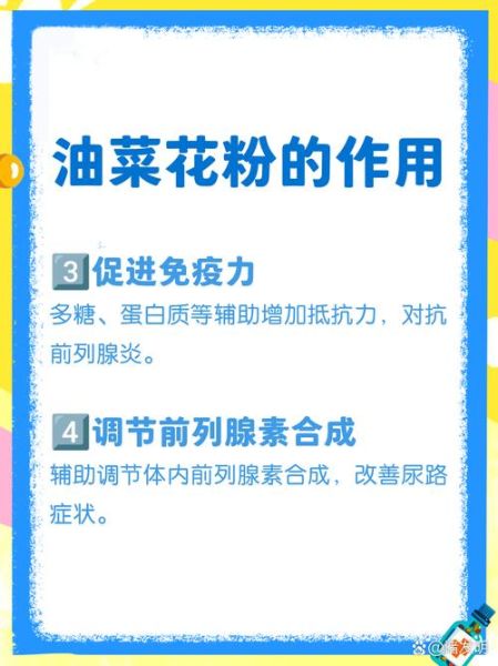 油菜花粉治前列腺是真的吗_油菜花粉对前列腺炎有效吗-第2张图片-山城妙识 油菜花粉治前列腺是真的吗_油菜花粉对前列腺炎有效吗-第2张图片-山城妙识