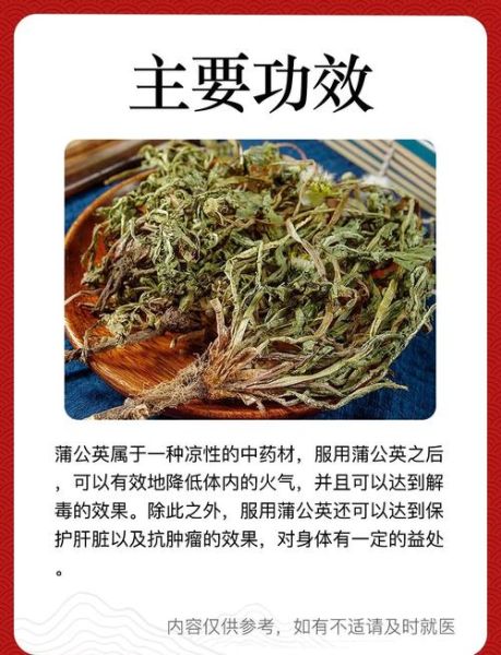 蒲公英治疗妇科病有效吗_如何正确服用蒲公英-第1张图片-山城妙识