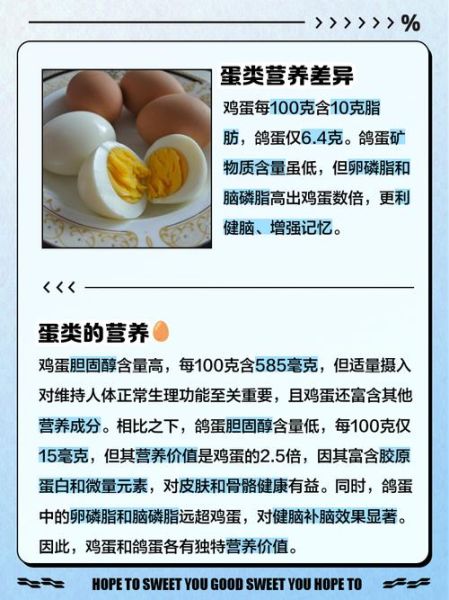 鸽子蛋和鸡蛋哪个更营养_鸽子蛋一天吃几个合适-第1张图片-山城妙识 鸽子蛋和鸡蛋哪个更营养_鸽子蛋一天吃几个合适-第1张图片-山城妙识