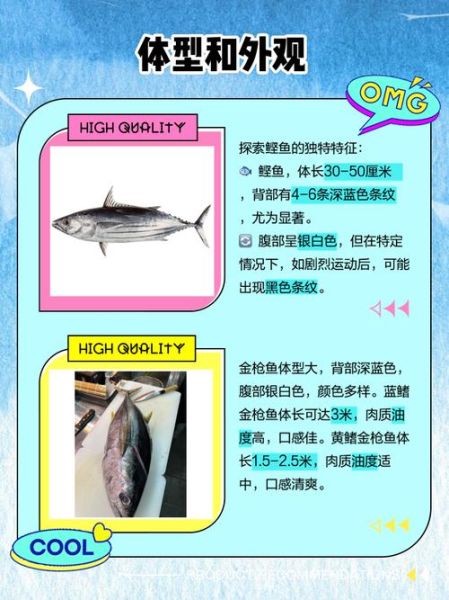 鲣鱼种类有哪些_鲣鱼与金枪鱼区别-第1张图片-山城妙识 鲣鱼种类有哪些_鲣鱼与金枪鱼区别-第1张图片-山城妙识