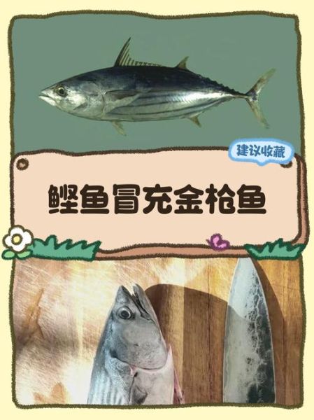 鲣鱼种类有哪些_鲣鱼与金枪鱼区别-第2张图片-山城妙识 鲣鱼种类有哪些_鲣鱼与金枪鱼区别-第2张图片-山城妙识
