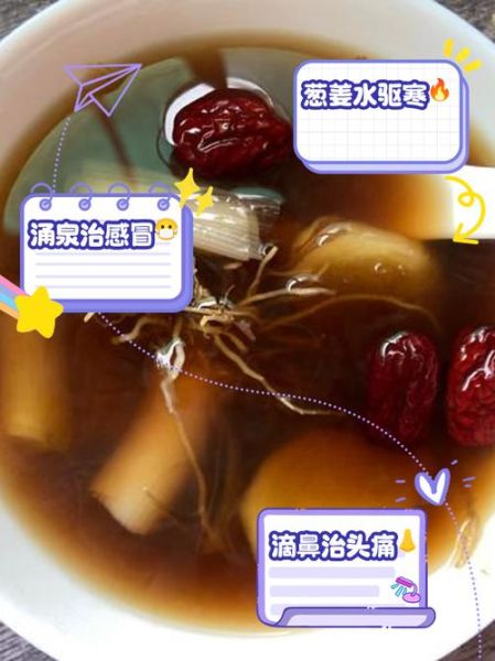 中国食疗大全在线阅读_食疗真的能治病吗-第2张图片-山城妙识 中国食疗大全在线阅读_食疗真的能治病吗-第2张图片-山城妙识