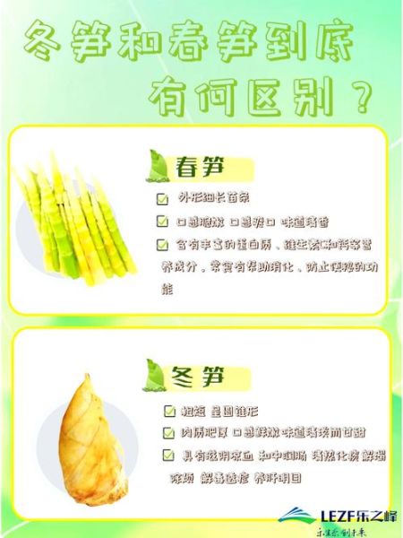 笋的种类有哪些_春笋和冬笋区别-第1张图片-山城妙识