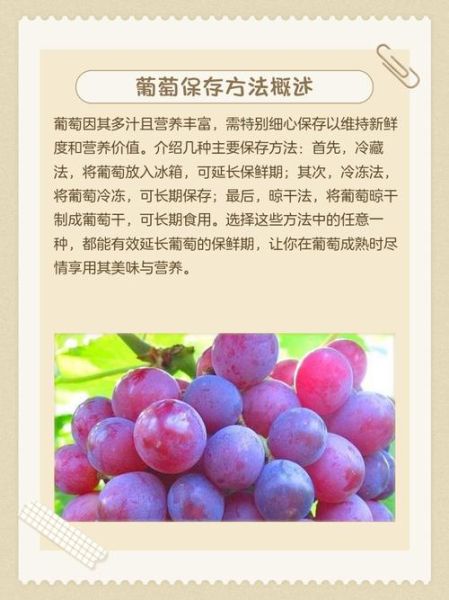 葡萄怎么保存时间长_葡萄图片高清拍摄技巧-第2张图片-山城妙识 葡萄怎么保存时间长_葡萄图片高清拍摄技巧-第2张图片-山城妙识