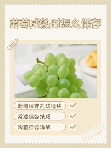 葡萄怎么保存时间长_葡萄图片高清拍摄技巧-第1张图片-山城妙识 葡萄怎么保存时间长_葡萄图片高清拍摄技巧-第1张图片-山城妙识